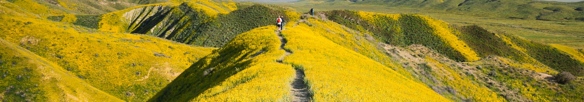 Recreation.gov - Camping, Cabins, RVs, Permits, Passes & More