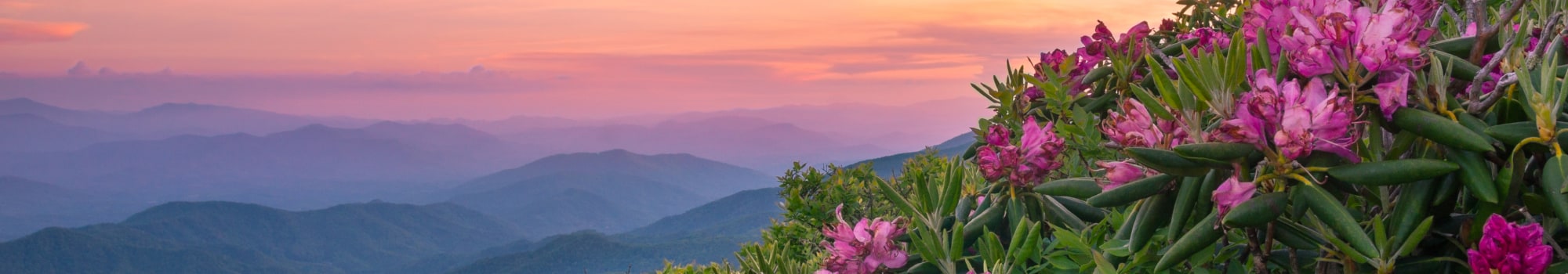 Recreation.gov - Camping, Cabins, RVs, Permits, Passes & More