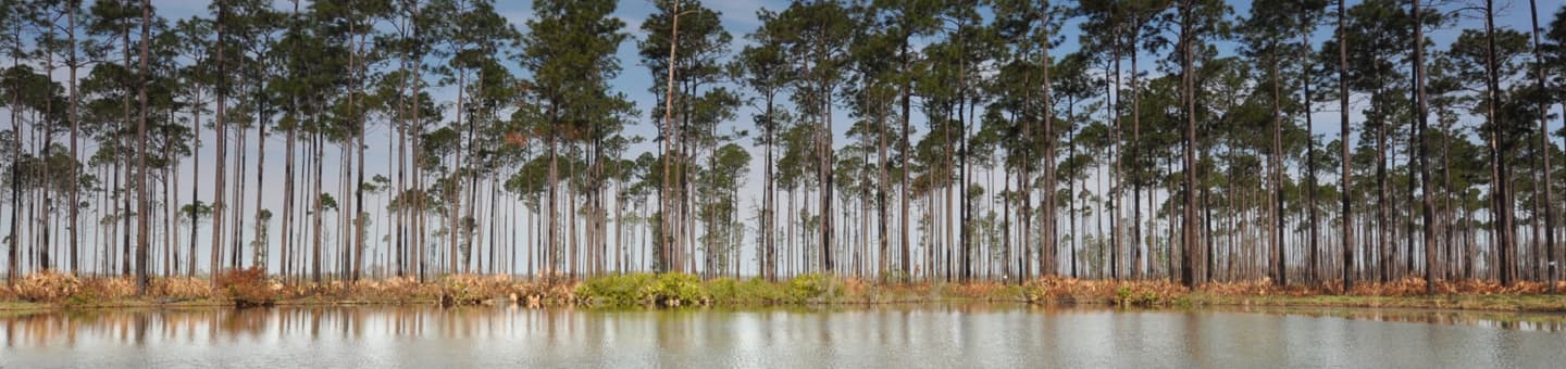 Recreation.gov - Camping, Cabins, RVs, Permits, Passes & More