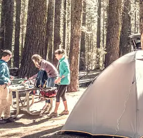 Recreation.gov - Camping, Cabins, RVs, Permits, Passes & More