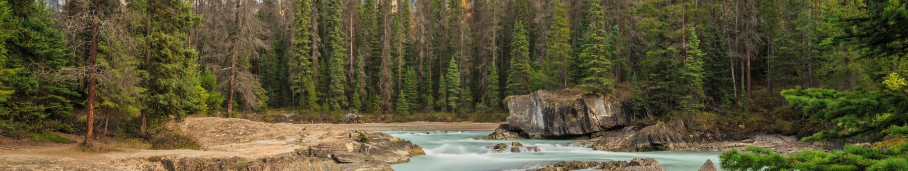 Recreation.gov - Camping, Cabins, RVs, Permits, Passes & More